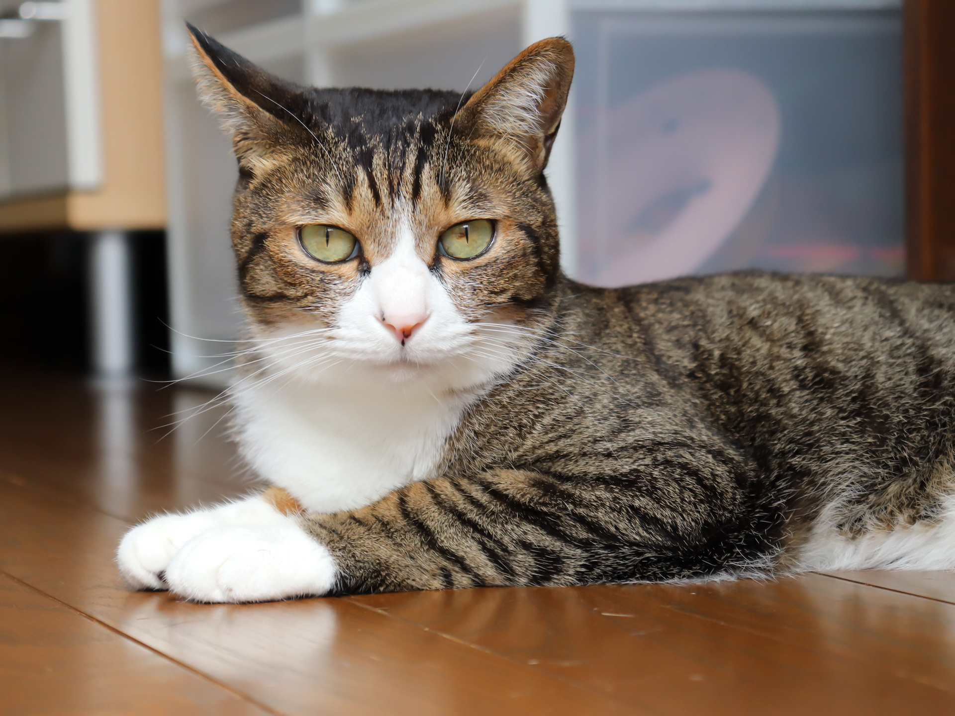 (Vol.2522)秋の風を感じます！銀二: ぎんろぐ