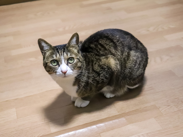 (Vol.3054)まだまだできます！銀二: ぎんろぐ